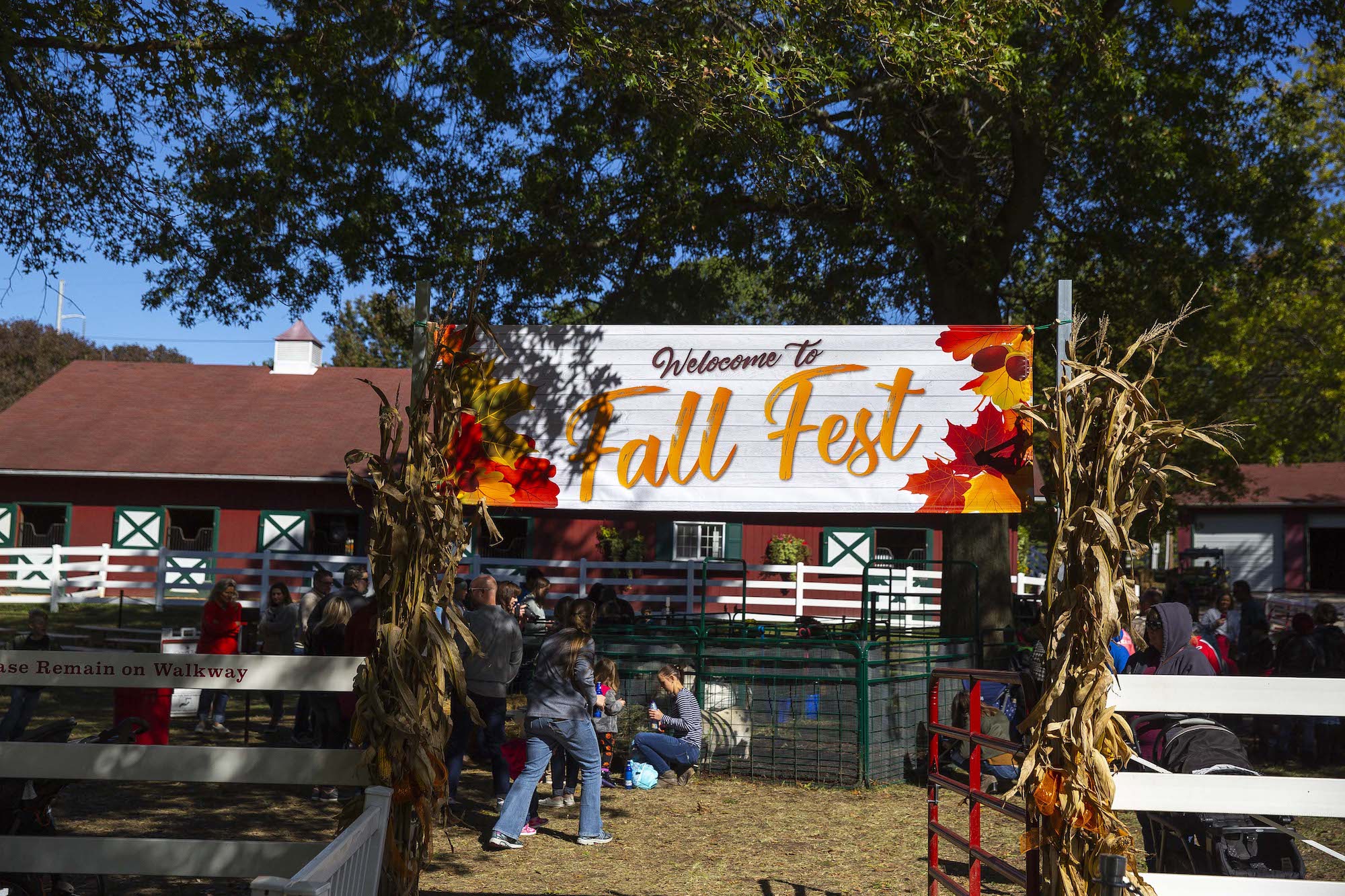 8 things to do in November in St. Louis - Sauce Magazine: Intelligent ...